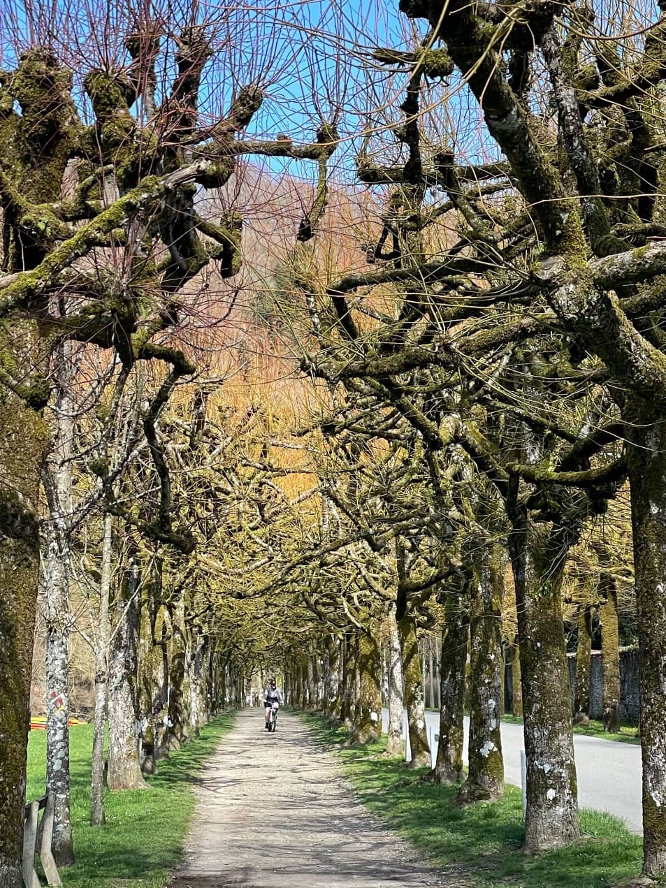 A Belgian castle day – Ramblings