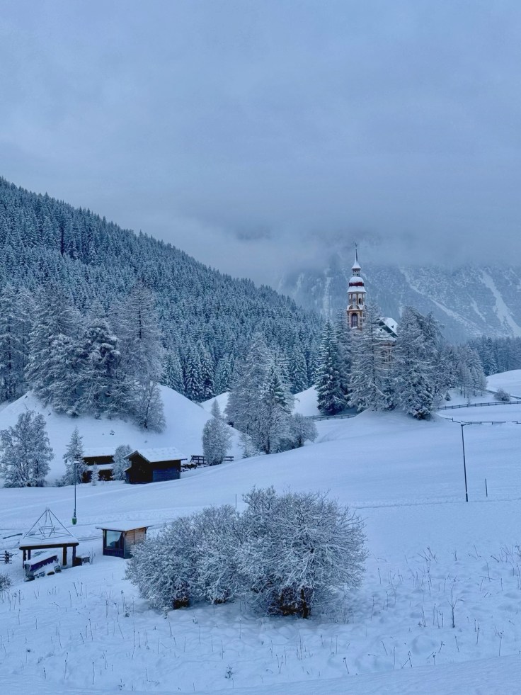 A forest adventure on snowshoes – Ramblings